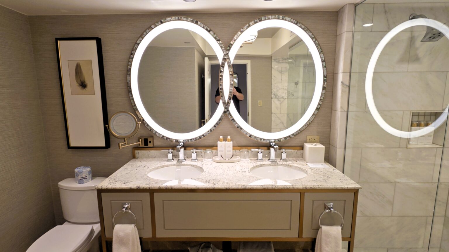 Bellagio Fountain View King Review (510 sq ft): Day/Night Show + $0 ...